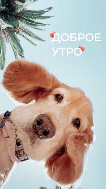 Доброе утро друзья ☀️ Желаем отличного четверга Ждем Вас ежедневно на массаж и Spa процедуры