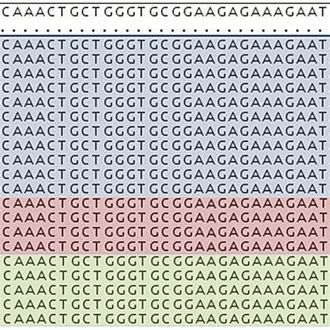 Egfr Mutation Heterogeneity In Circulating Tumor Cells Sequences Of Download Scientific