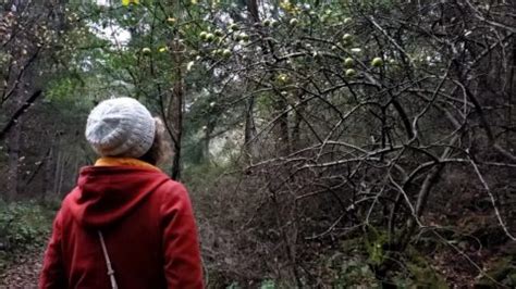 Walks Trixie Loves Delia