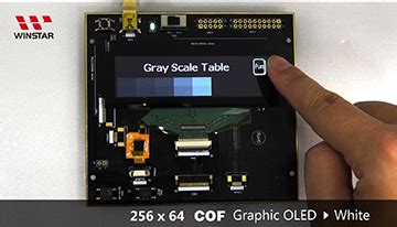 Video Winstar Display Co Ltd