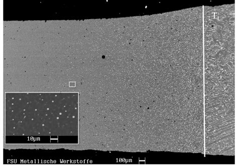 Overview Over The Microstructure Of The Former Mushy Zone Sem Bse Download Scientific