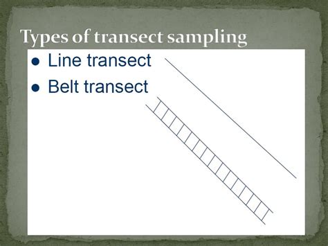 Ppt Sampling Techniques Powerpoint Presentation Free Download Id