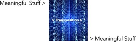 Computers Are Machines That Transpose Human Meanings Through Binary