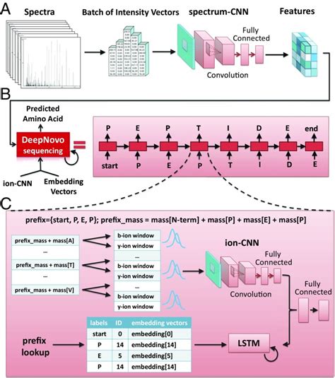 Peptide Sequencing Service Mtoz Biolabs
