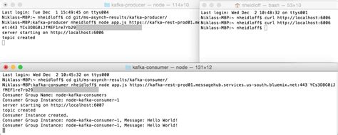 Building An Apache Kafka Messaging Consumer On Bluemix Niklas Heidloff