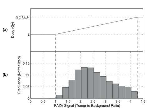 A Dose Prescription Strategy The Dose Is Prescribed On A Per Voxel Download Scientific