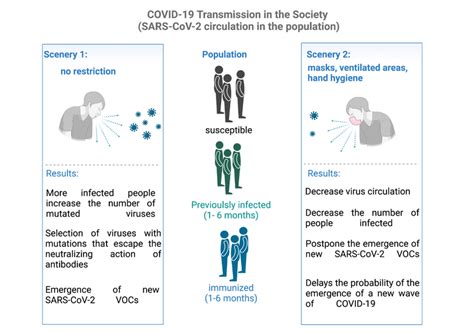 Hypothesis To Explain The Emergence Of Novel Sars Cov 2 Variants