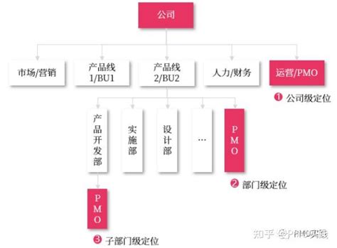 如何更高效组建PMO组织 知乎