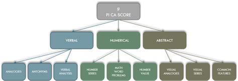 PI COGNITIVE ASSESSMENT Humanostics Predictive Index