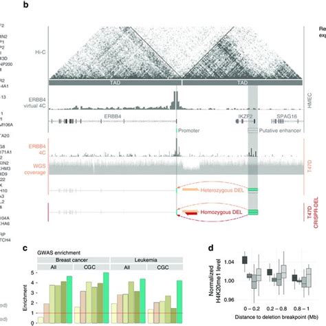 Extended Genes And Mutation Burden Analysis A Mutation Status In Download Scientific Diagram