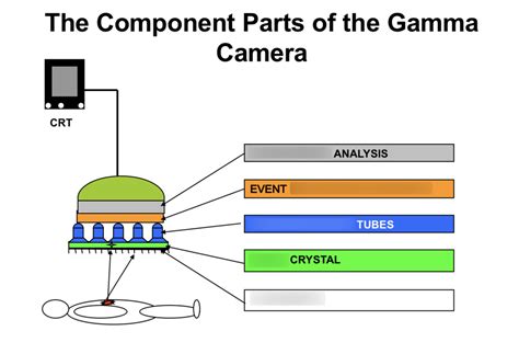 instrumentation signal processing and imaging diagram quizlet