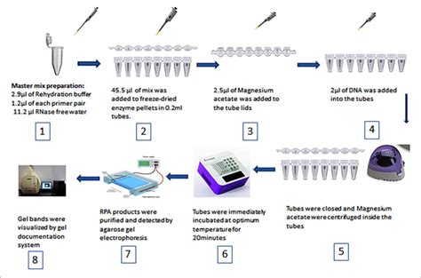 Schematic Diagram Of RPA Steps And Equipment Used Download Scientific Diagram