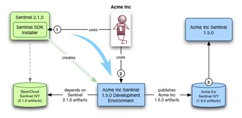 Sentinel Express 310 Sentinel Overview And Concepts The Sentinel Software Development Kit