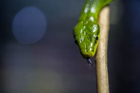 Getting Started With Express Typescript With Mysql Api By Gui Fujii
