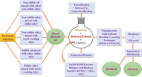 A Flowchart Showing The Production Of Biodiesel From Various Mixed Oils
