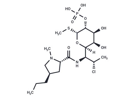 Clindamycin Phosphate Parasite Antibiotic Ribosome Targetmol