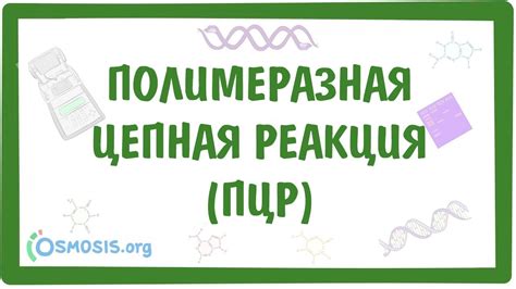 ПЦР - полимеразная цепная реакция и ПЦР с обратной транскрипцией - YouTube