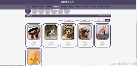 Springboot毕设宠物领养系统程序论文 Csdn博客