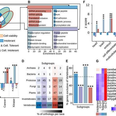 Consistent And Inconsistent Subgroups Analyses A Subgroups Download Scientific Diagram
