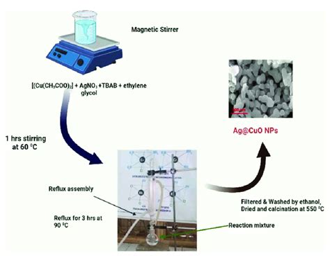 Synthesis Of Polyol Mediated Ag Cuo Nps The Following May Be The Download Scientific Diagram