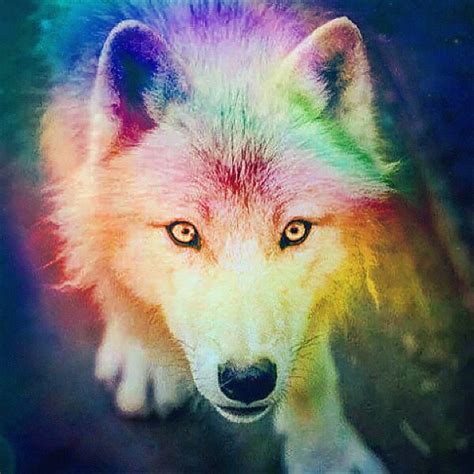 2340 Cool Wolf Pfp Profile Picture 4k Hd Images