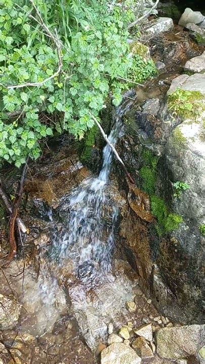 Healing명상계곡 물소리자연의 소리 Youtube