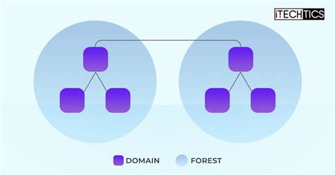 Understanding The Difference Between Active Directory Domain And Forest