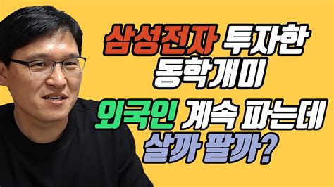 삼성전자 투자한 동학개미 외국인 계속파는데 삼성전자 주식 사야 될까요 팔아야 될까요 Youtube
