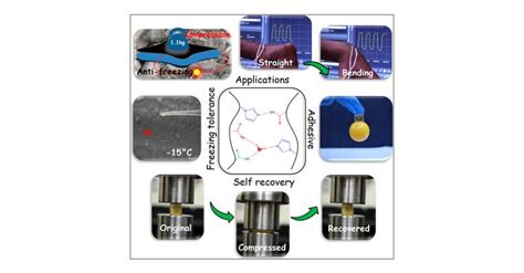 Agniva Dutta On Linkedin Intrinsically Freezing Tolerant Conductive