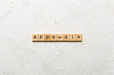 appendix word written on wood block appendix text on table concept