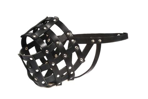 Muzzle Definition And Meaning Collins English Dictionary