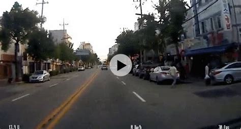 바이럴레전드 유머 움짤 이슈 에펨코리아