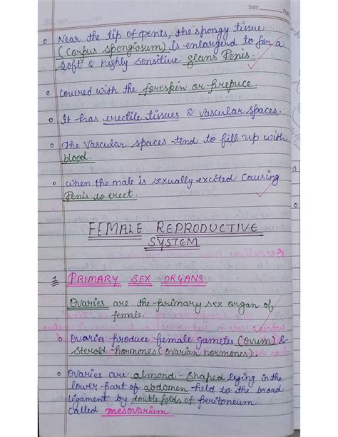 Solution Female Reproductive System Explained With Diagram Studypool