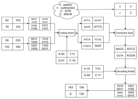 Fast Color Image Encryption Algorithm Based On Dna Coding And Multi