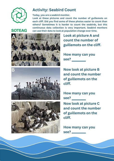Seabird Count Soteag