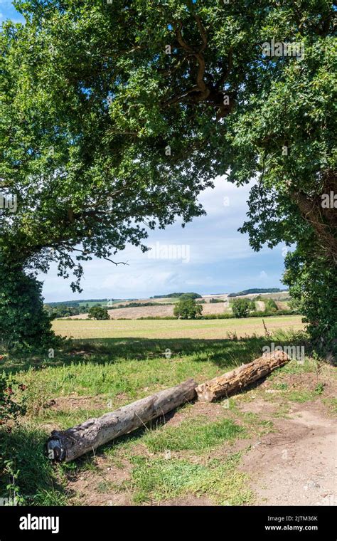Logs Blocking A Field Entrance In Norfolk To Prevent Unwanted Use By