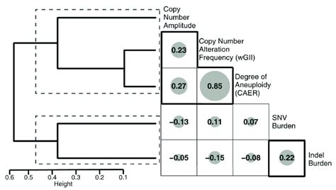 metrics associated with mutational processes and copy number associated