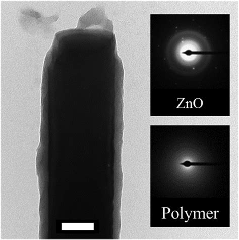 Core Shell Nanorod Tem Image Of An Individual Nanorod With Electron