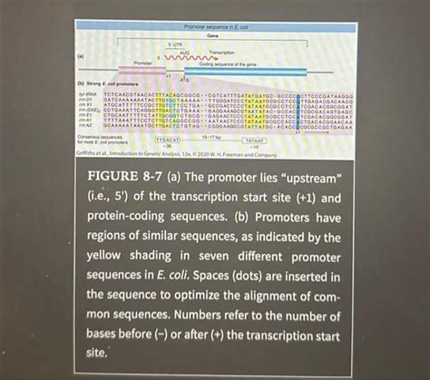 solved 8 in figure 8−7 b write the sequence of the first