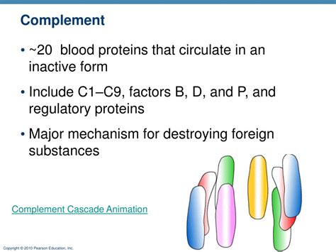 PPT The Immune System Innate And Adaptive Body Defenses Part A PowerPoint Presentation ID