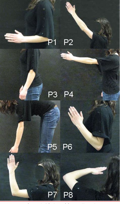 Figure 1 From Examining The Adverse Effects Of Limb Position On Pattern Recognition Based