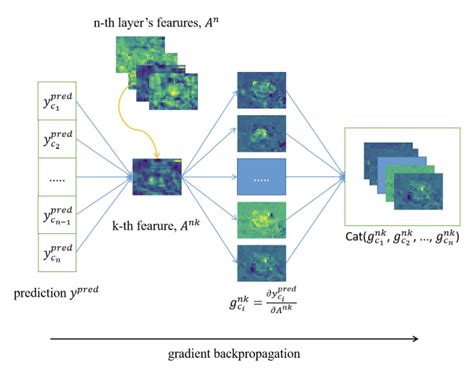 논문 리뷰 Rethinking Cam And Weakly Supervised Semantic Segmentation And Weakly Supervised Object