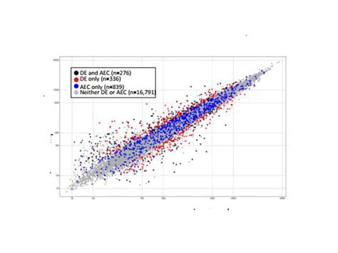 Data Visualization Coluring The Scatterplot In R Stack Overflow