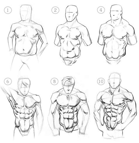Female Abs Anatomy Drawing Free Samples Of Various Female Poses