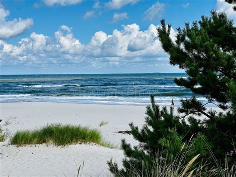 Wild Beach In Poland Beautiful Wild Beaches In Hel Wild Beach In