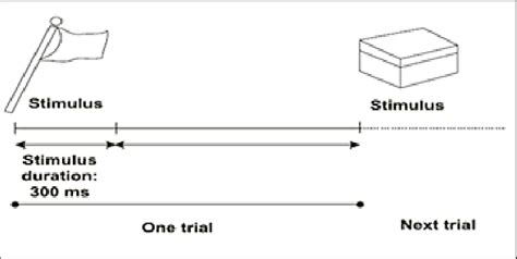 Visual Stimulus Presentation Download Scientific Diagram