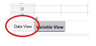 Decision Tree With SPSS A Step By Step Example All The Key