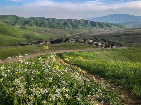 Chino Hills State Park Actualizado 2026 Qué Saber Antes De Ir Con