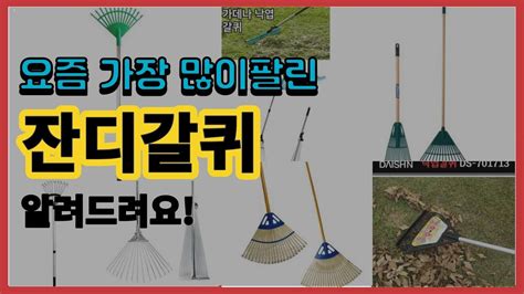 잔디갈퀴 추천 판매순위 Top10 가격 평점 후기 비교 Youtube