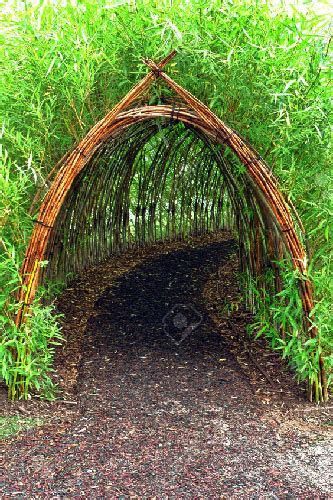 Poem Trees Forming Archways